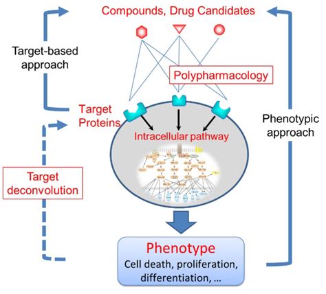 An In Silico Approach For Integrating Phenotypic And Target‐based