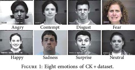 Figure 1 From Automated Facial Expression Recognition Framework Using