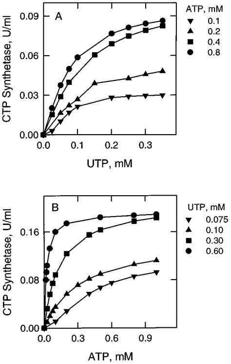 Dependence Of Ura8 Encoded Ctp Synthetase Activity On Utp And Atp