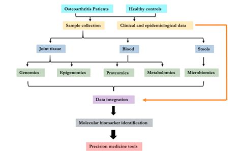 Schematic Representation Of The Systems Biology Approach To Develop