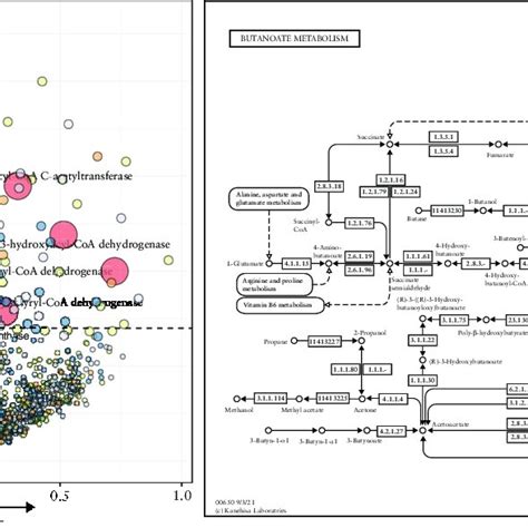 Functional Analysis Of Microbial Genes In Subjects With And Without