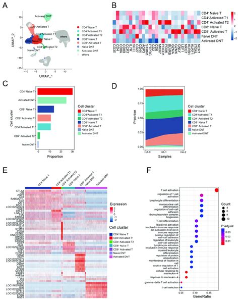 T Cell Immunity In Response To H5n1 Ha Stimulation A Umap Plot Shows