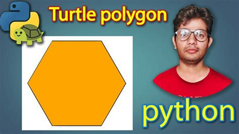 python turtle draw polygon tutorial youtube