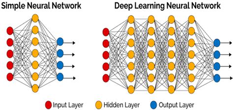 Schematic Representation Of The Dnn [17] Download Scientific Diagram