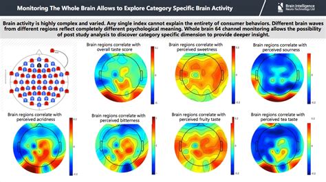 Electroencephalogram Eeg 北京布雷恩科技