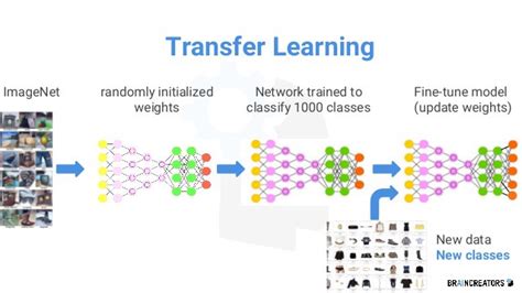what you must know about transfer learning by zahra elhamraoui data