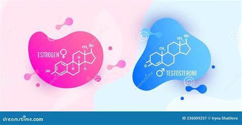 Estrogen And Testosterone Hormones Molecular Skeletal Formula With