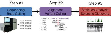 dna sequencing not quite hpc yet
