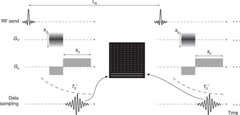 Gradient Echo Sequence Pulsed Field Gradients Generate K Space