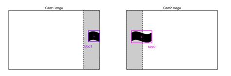 python how to detect an object across overlapping cameras stack