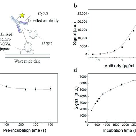 Schematic Representation Of The Developed Biosensor And Its