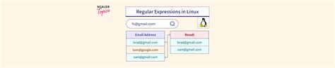 How To Use Regular Expression In Linux Scaler Topics