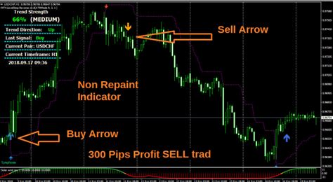 create expert advisor indicator forex robot mt4 or mt5 robot by shahab390