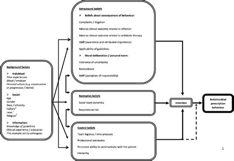 The Theoretical Framework Of Antimicrobial Prescription Behaviour