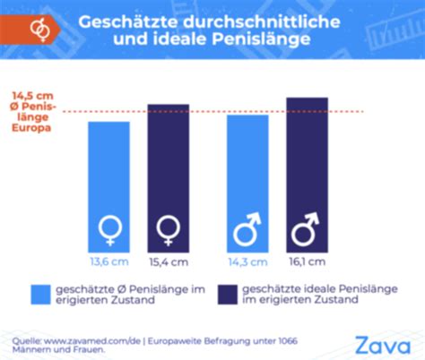 Zava Umfrage Kommt Es Wirklich Auf Die Penisgröße An Zava