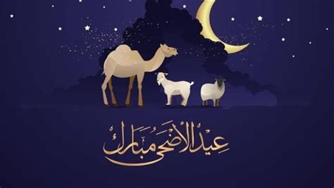 موعد إجازة عيد الأضحى المبارك وعدد أيام الإجازة الرسمية مصر 24
