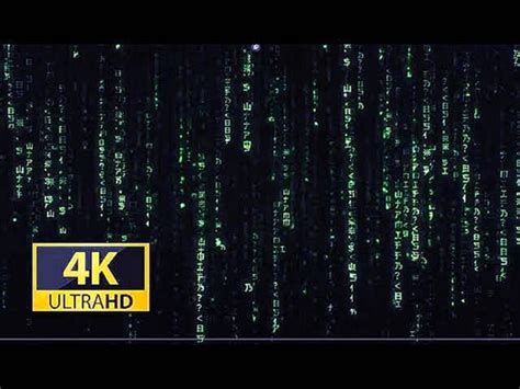 matrix screensaver rain code 4k video download screensavers