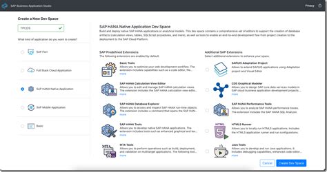 modelling in sap hana cloud part 1 setup the project in sap business