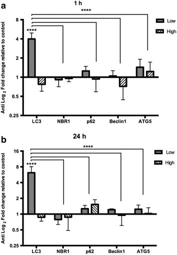 Lc3 Upregulation After Tio2 Nps Treatment Expression Analysis Of