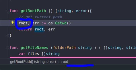 variable type hint not showing under the editor tab ides support