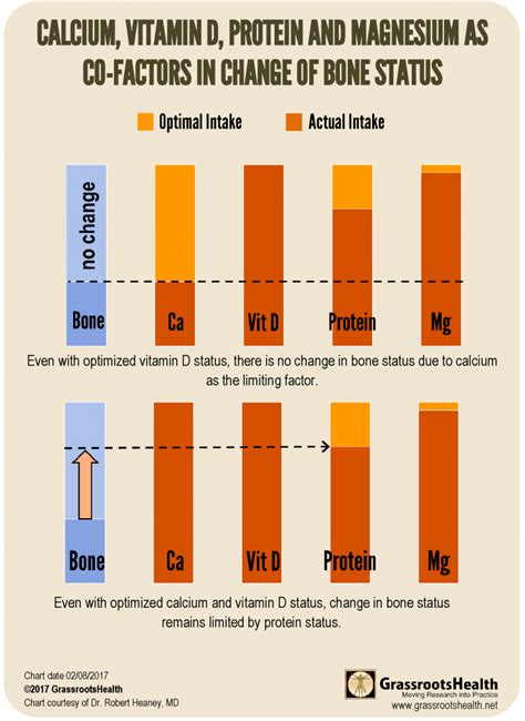 Science Speaks Why Are Vitamin D Co Nutrients Important Part 2