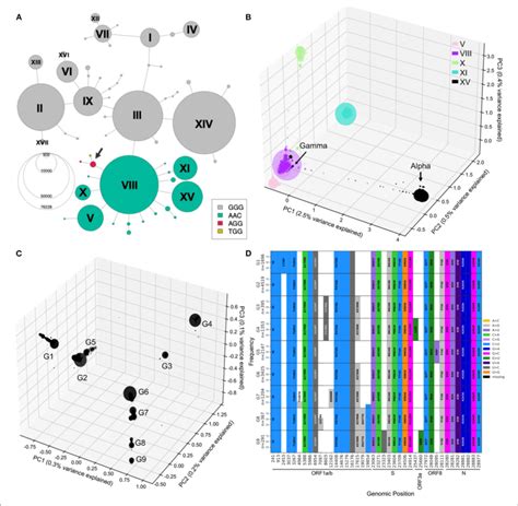 Mutational Landscape Of Haplotype Viii And Its Descendant Lineages