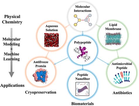 Computational Design Of Peptides For Biomaterials Applications Acs