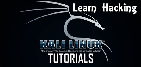 top 10 best tutorials to start learning hacking with kali linux kali