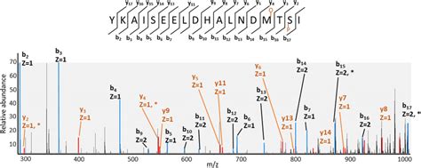 Fragmentation Spectra Of Peptide With Two Ptms Phosphorylation And