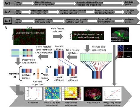 The Classic Characterization Of Cell Types From Rna Seq Data A 1 And