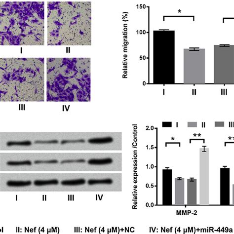 Nef Inhibited Gist T1 Cell Migration Via Up Regulating Mir 449a A