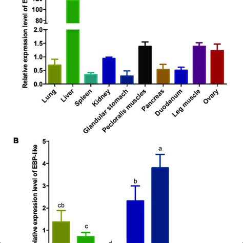 Ebp Like Spatiotemporal Expression Profiles A The Relative