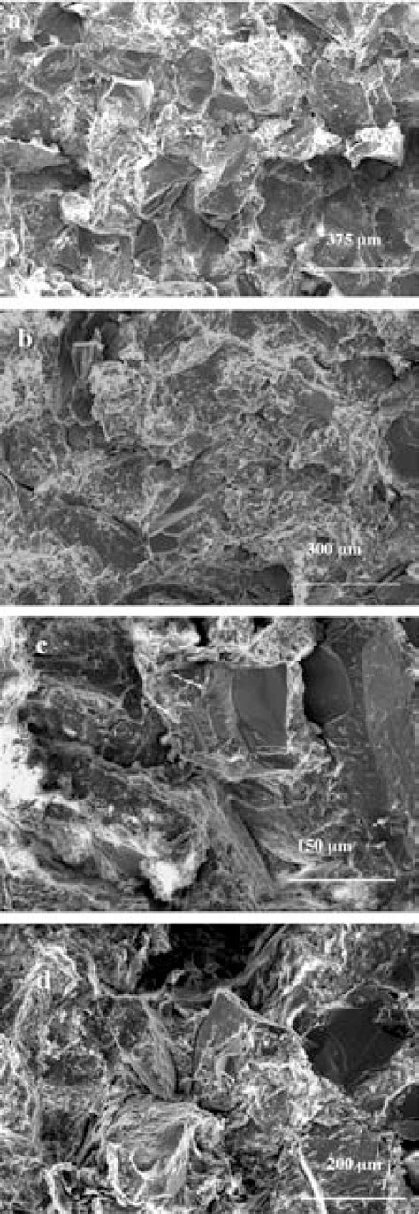 Representative Sem Micrographs Of X P 2 O 5 B 2 O 3 Molar Ratio X