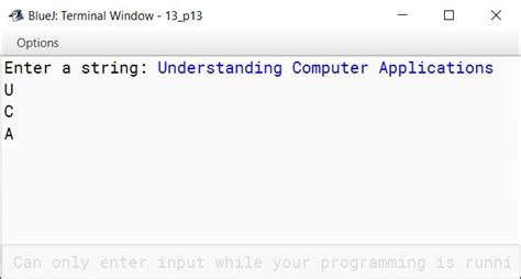 write a program in java to accept a string from the user pass the