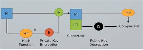Understanding Dual Stat Data Encryption What It Is And How It Works