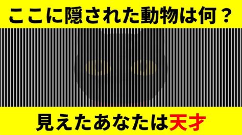 【ゆっくり解説】君は見える？天才だけが分かる錯覚診断テスト！ Youtube