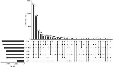 Frontiers Full Length Transcriptome Sequencing And Comparative