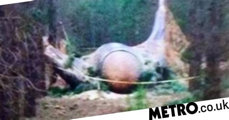 someone just stumbled on this ‘ufo crash site hidden in woods in