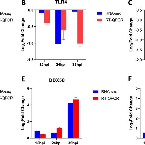 Transcription Of Degs Related To Rlr And Tlr Signaling Pathways After