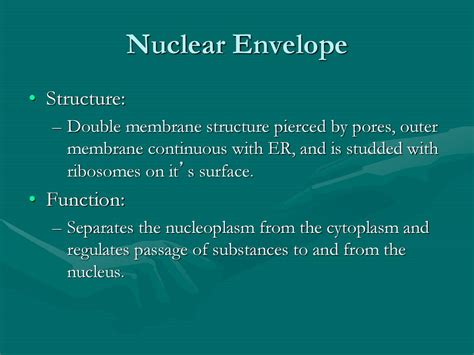 The Aandp Of The Cell Ppt Download