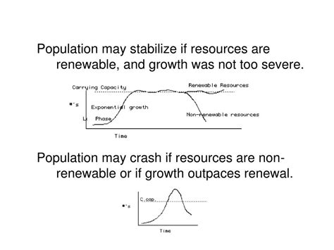 Ppt Population Dynamics Powerpoint Presentation Free Download Id