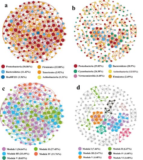 Spearmans Correlation Based Network Analysis Of Frequent Asvs