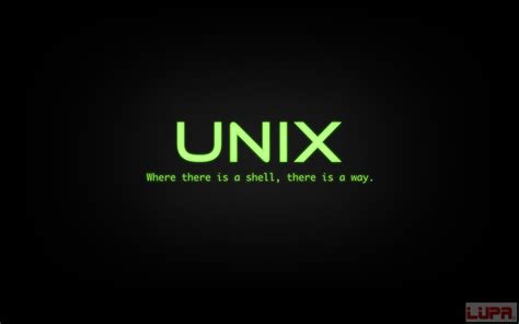 linux与unix区别在哪里 嵌入式linux中文站