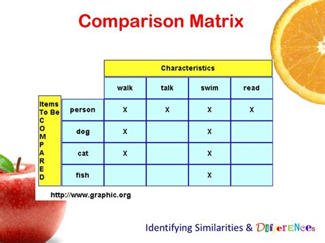 Comparison Matrix Identifying Similarities