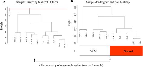 Sample Clustering To Detect Outliers A Before Removing Outliers B