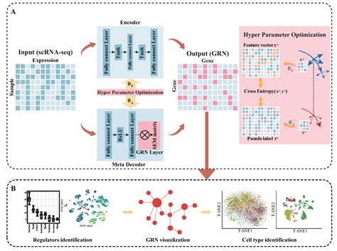 Ijms Free Full Text Metasem Gene Regulatory Network Inference From