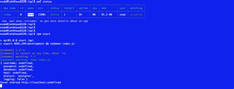 node js ecs is not recognize the values of env set in