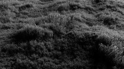 how to create a grass in blender creative shrimp