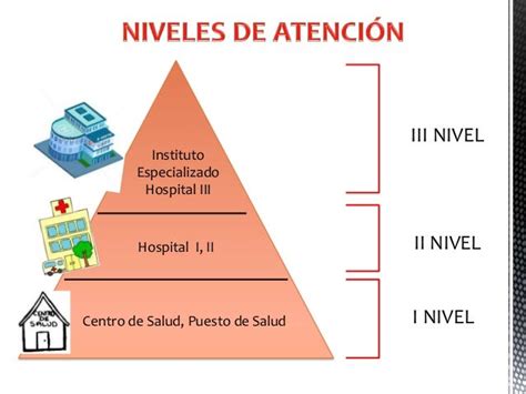 Niveles De Atención Médica