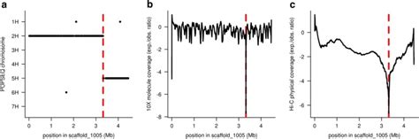 Tritex Chromosome Scale Sequence Assembly Of Triticeae Genomes With